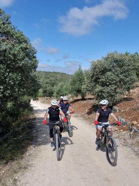 Fátima: Sanctuary, Castle & Gastronomy - All-iN E-bike Tour - Exploring the Route and Its Highlights