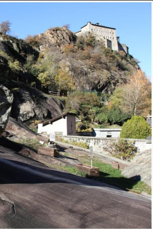 FAUNA AND FLORA OF EXPOSED AND ENGRAVED ROCKS - Encountering the Flora and Fauna