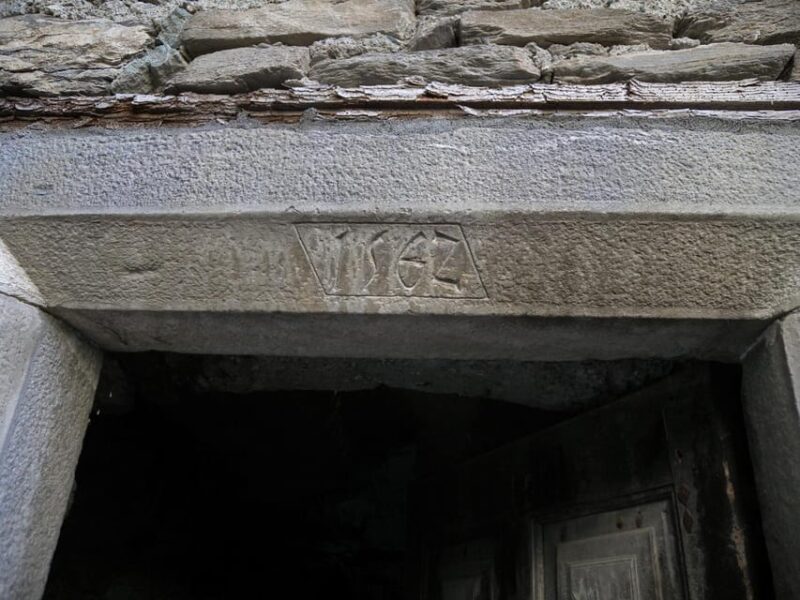 FAUNA AND FLORA OF EXPOSED AND ENGRAVED ROCKS - The Value of This Experience