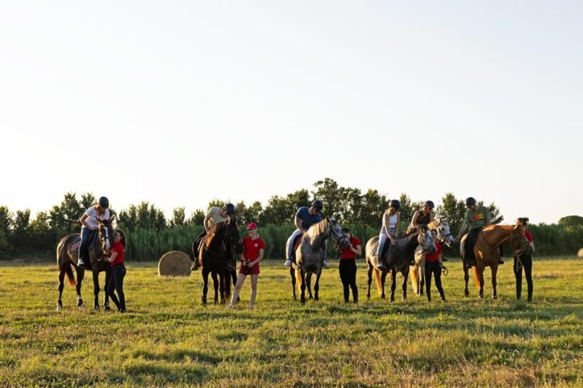 Fazana: Sunset 1-hour Horse Riding in Nature with Guide - Authentic Feedback from Participants