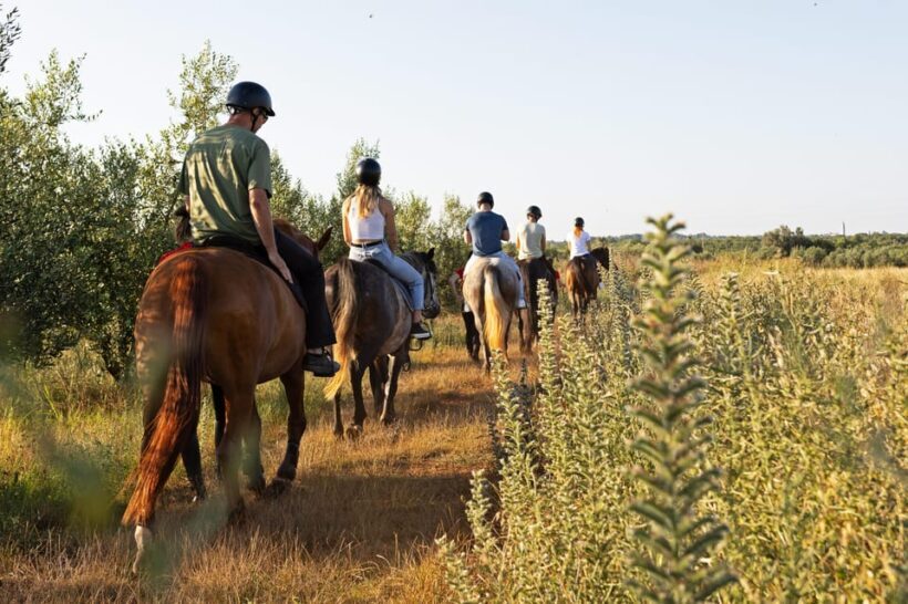 Fazana: Sunset 1-hour Horse Riding in Nature with Guide - FAQ: Common Questions About the Fažana Horse Riding Tour