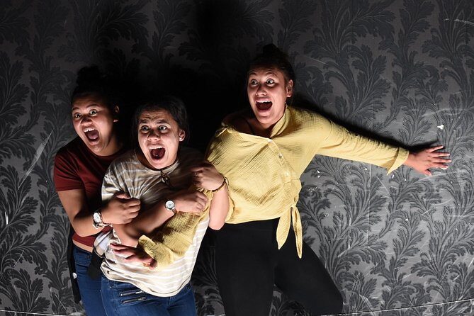 Fear Factory Queenstown - Who Should Consider It?