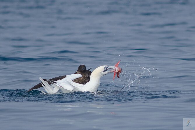 Feathers & Scales - Tour Logistics and Important Details