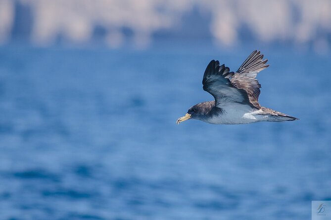 Feathers & Scales - Wildlife Encounters and Activities