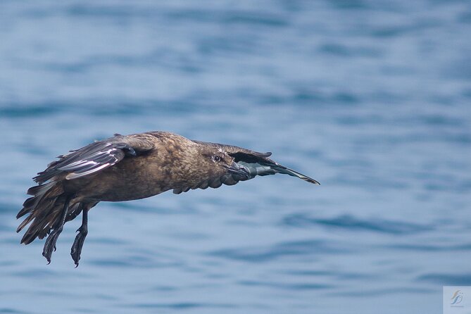 Feathers & Scales - Experience Highlights and Unique Features