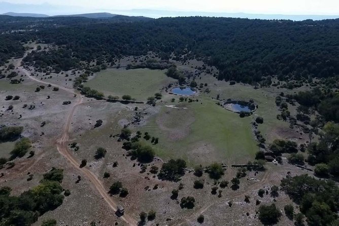 Feel and Taste Island Brac With Local Experts - Island Adventure to Remember - Expectations and Requirements