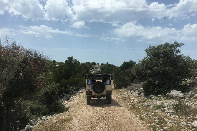 Feel and Taste Island Brac With Local Experts - Island Adventure to Remember - Traveler Reviews and Highlights