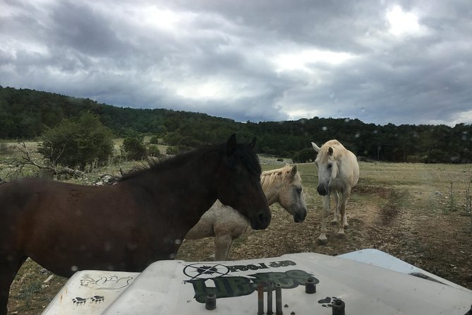Feel and Taste Island Brac With Local Experts - Island Adventure to Remember - Discovering the Stone Quarry