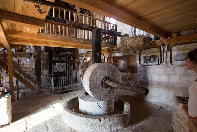 Feel and Taste Island Brac With Local Experts - Island Adventure to Remember - Savoring Local Tastes and Lunch