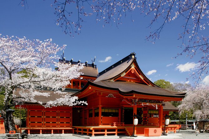 Feel Mt Fuji and Sake Tasting Private Tour From in Shizuoka - Tour Overview