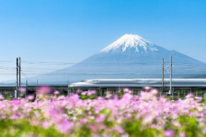 Feel Mt Fuji and Sake Tasting Private Tour From in Shizuoka - Health and Accessibility