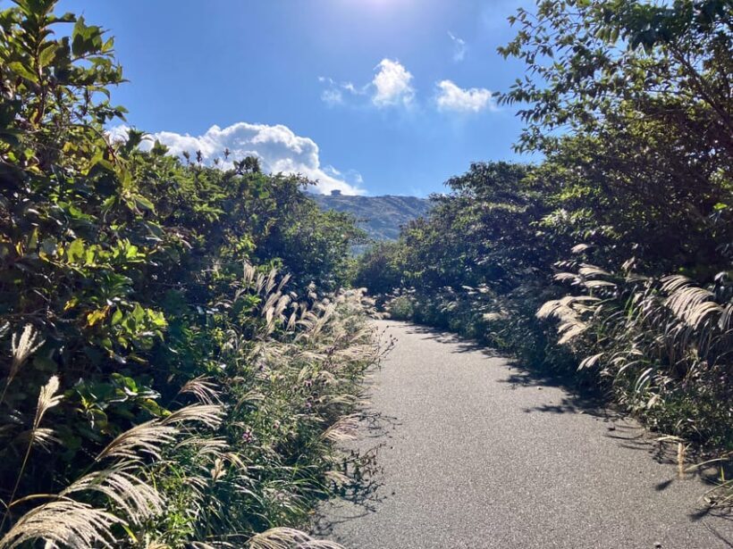 Feel the volcano by trekking at Mt.Mihara - Who Should Consider This Experience?