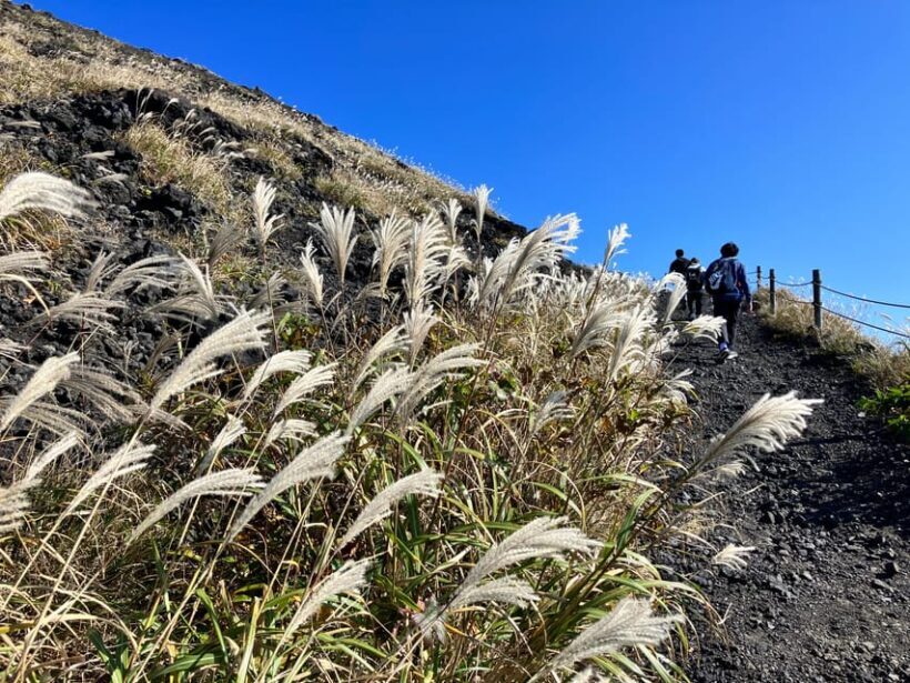 Feel the volcano by trekking at Mt.Mihara - FAQ