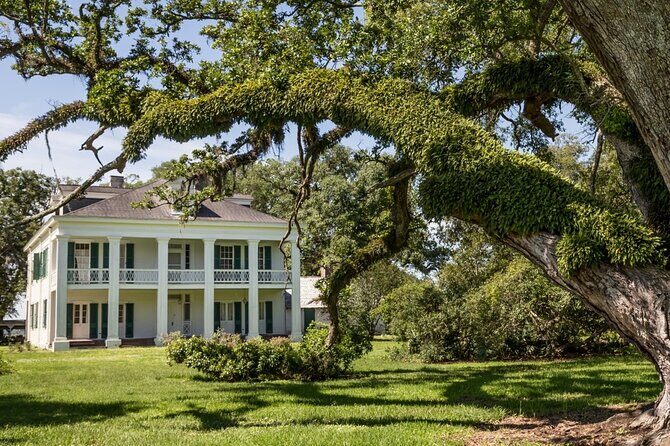 Felicity Plantation Tour - Introduction