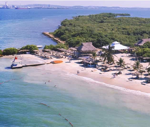 Fenix Beach Island Dinner - Key Points