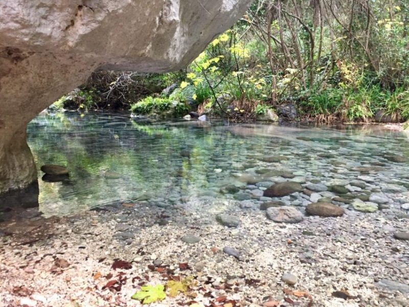 Ferla: Pantalica Nature Reserve UNESCO Tour with Swim Stop - Key Points