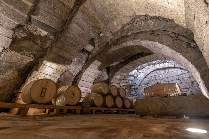 Fermoselle; Visit to the Historical Winery with Wine Tasting - Authenticity and Atmosphere