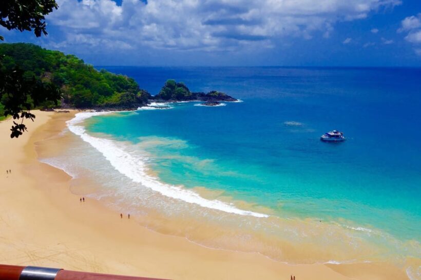 Fernando de Noronha: Catamaran Tour with meal and transfer - What the Reviews Say: Balancing Highlights and Downsides