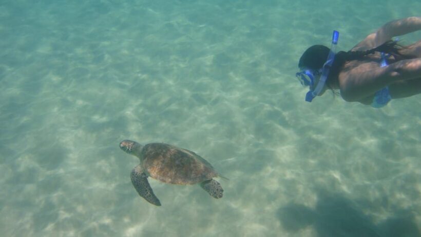 Fernando de Noronha: Catamaran Tour with meal and transfer - FAQ