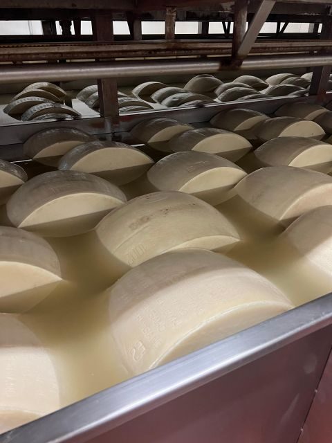 Ferrari, Parmesan and Balsamic Day Tour from Bologna - Who Should Consider This Tour?