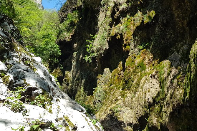 Ferriere Waterfalls Walk - Amalfi and Ravello Coast - Scenic Highlights of the Hike