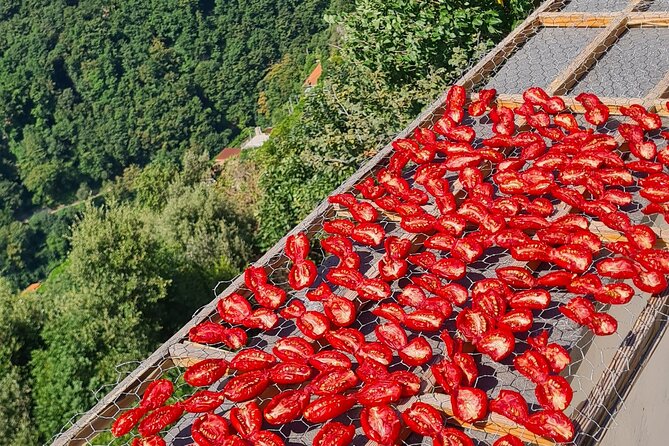 Ferriere Waterfalls Walk - Amalfi and Ravello Coast - Participant Experiences and Reviews