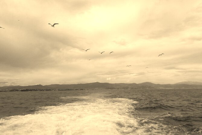 Ferry Benalmádena <> Fuengirola - Notable Feedback