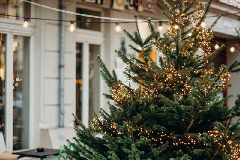 Festive Journey in Sirmione Christmas Walking Tour - The Ancient Grotte di Catullo