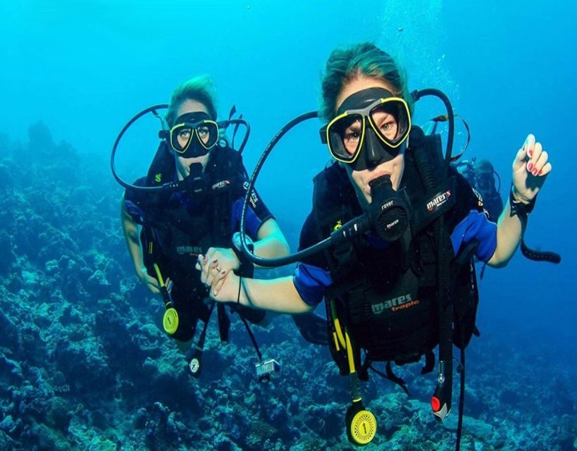 Fethiye: 2 Guided Scuba Dives with Lunch and Hotel Transfers - Key Points