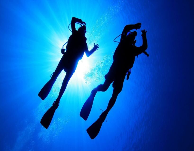 Fethiye: 2 Guided Scuba Dives with Lunch and Hotel Transfers - An In-Depth Look at the Fethiye Scuba Tour