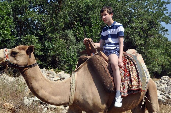 Fethiye Camel Riding at Gosht Town - Analyzing the Value and What Travelers Say