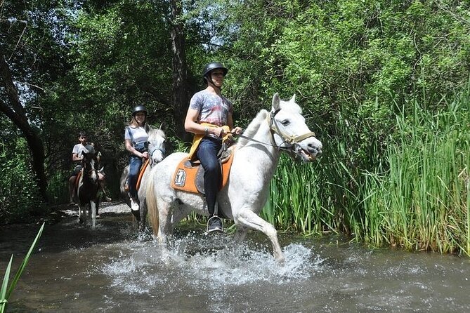 Fethiye Horse Riding Experience - Who Is This Tour Best For?