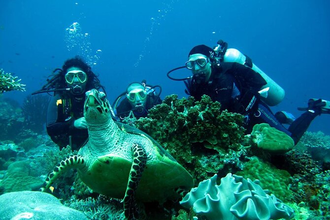 Fethiye Scuba Diving Experience By A Local Expert - Exploring the Fethiye Underwater World