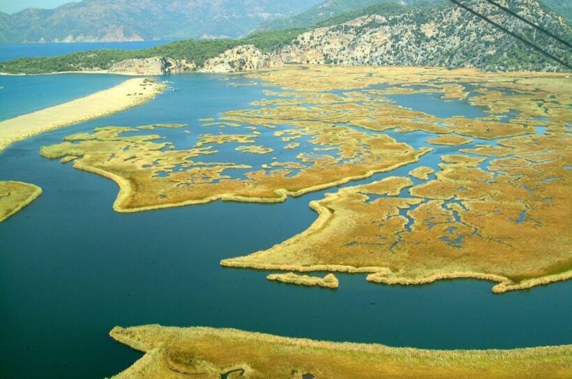 Fethiye:Dalyan Mud & Turtle Beach and River Cruise Day Trip - Value and Overall Impression
