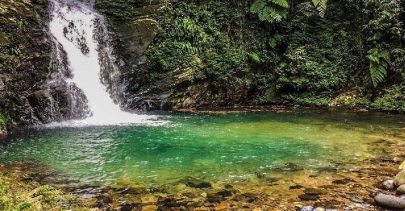 FFOM HUE : TOUR TREKKING HUE - BACH MA NATIONAL PARK DAILY - Introduction