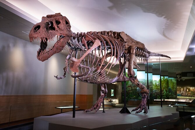 Field Museum of Natural History Early Access Ticket - The Experience: Insights From Visitors