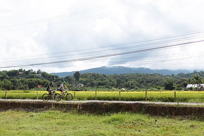 FIELDS OF GOLD Mountain Biking Tour Chiang Mai - What Sets This Tour Apart