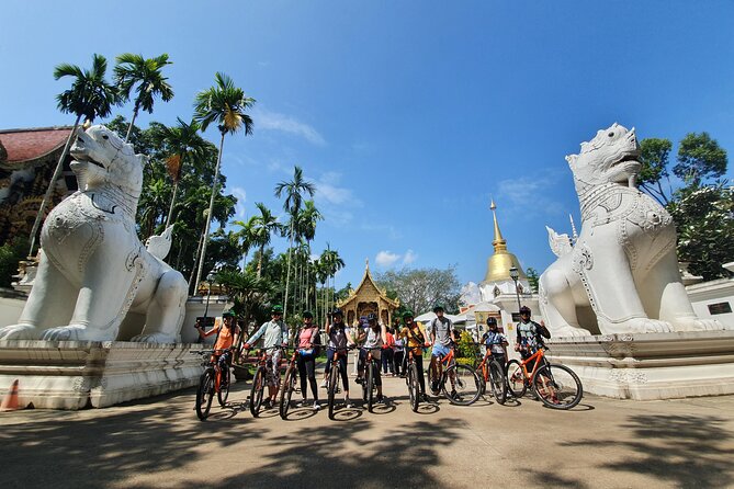 FIELDS OF GOLD Mountain Biking Tour Chiang Mai - The Sum Up: Who Will Love This Tour?