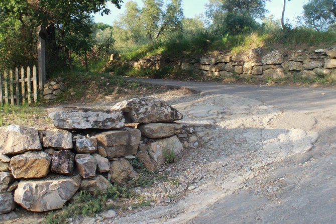 Fiesole E-Bike Tour Review: A Scenic Adventure - Health and Safety Considerations