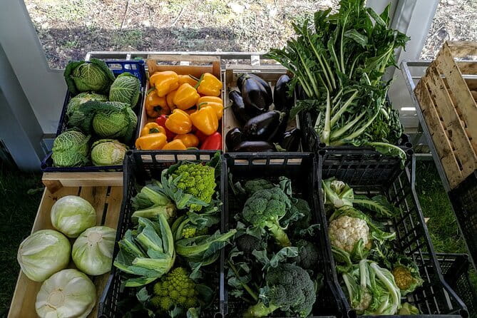 Fiesole: Tuscan Countryside Half Day E-Bike Tour & Farm visit - Frequently Asked Questions