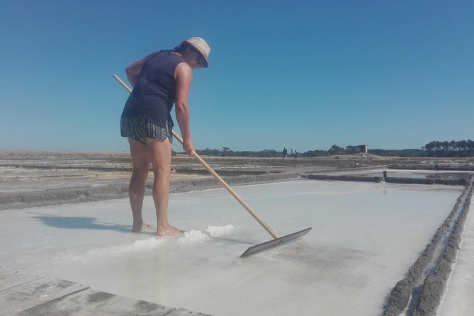 Figueira da Foz by rice paddies and salines, half-day from Coimbra - Key Points