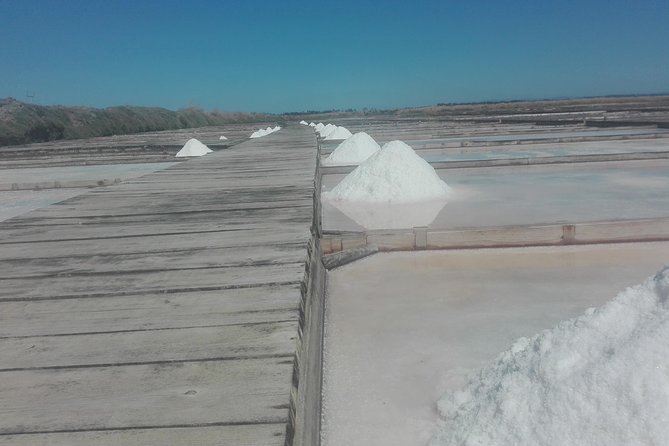 Figueira da Foz by rice paddies and salines, half-day from Coimbra - Value and Practicalities