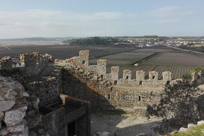 Figueira da Foz by rice paddies and salines, half-day from Coimbra - Who Is This Tour Best For?