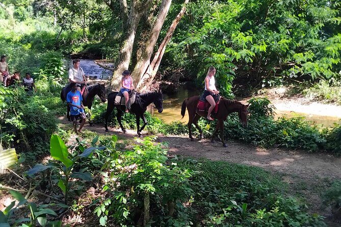 Fiji Adventure: Biausevu Waterfall & Dunes hiking Combo Tour! - Frequently Asked Questions