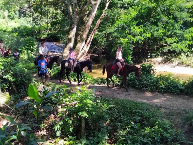 Fiji Biausevu waterfall & Village Tour - Key Points