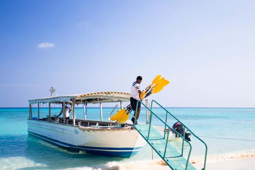 Fiji: Captain Cook Cruises - Island & Reef Day Trip - Activities and Amenities