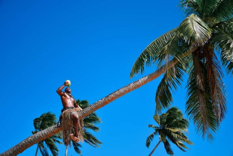 Fiji: Day and Night Combo Tour - An In-Depth Look at the Fiji Day & Night Combo Tour