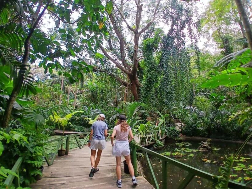 FIJI: Garden of the Sleeping Giant - Key Points