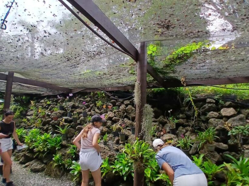 FIJI: Garden of the Sleeping Giant - A Detailed Look at the Garden of the Sleeping Giant Experience
