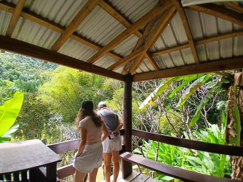 FIJI: Garden of the Sleeping Giant - What the Reviews Say